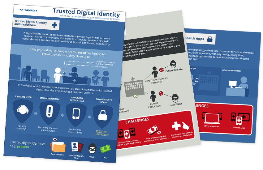 VASCO Trusted Digital Identity Infographic - CyberEdge Group